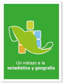 National Institute of Statistics and Geography (INEGI)